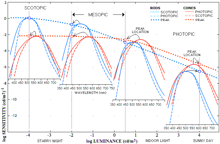 Eye spectral response
